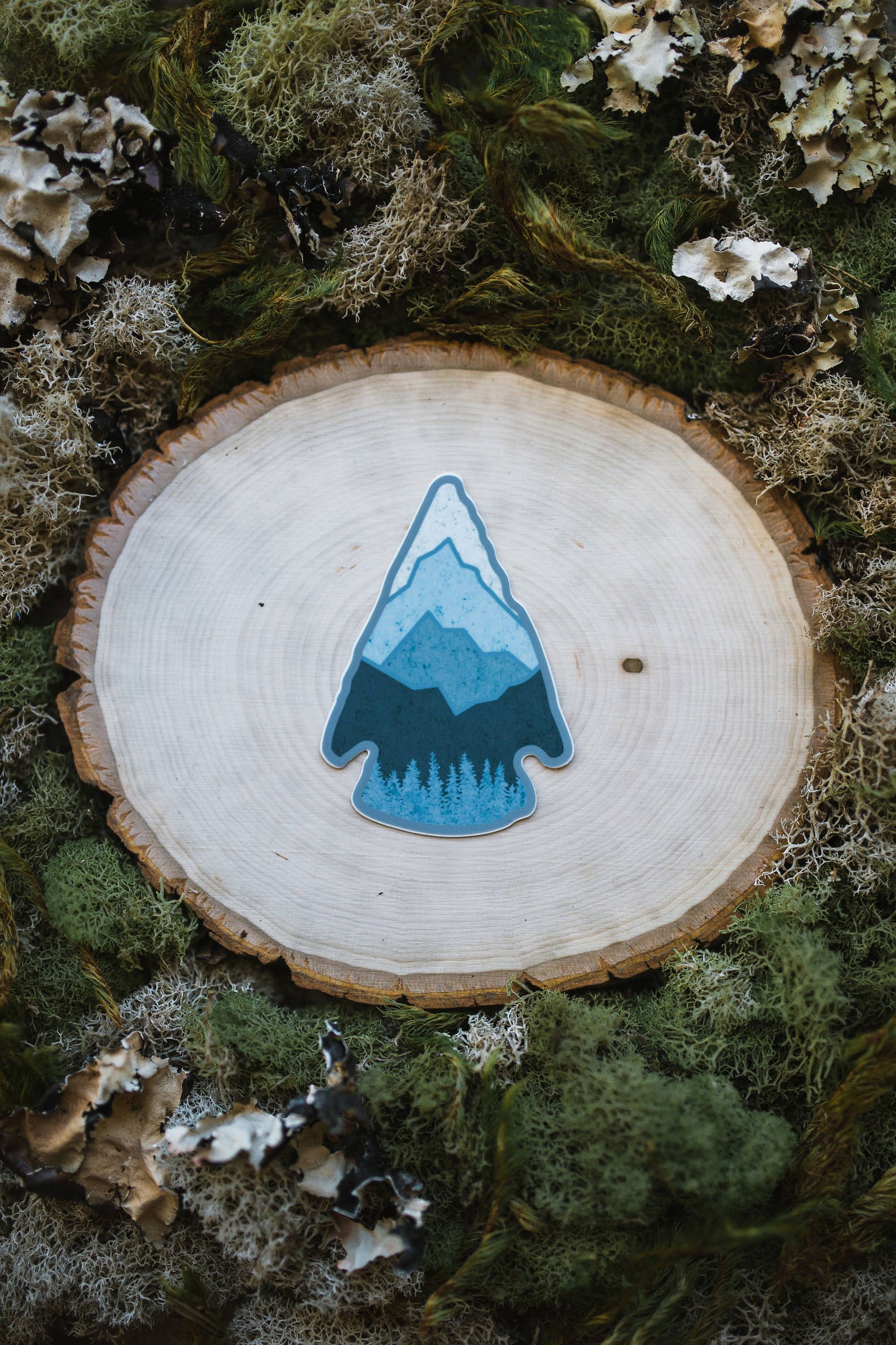 Arrowhead Sticker | Vinyl, Decal, Bumper, Laptop, Hiking, Travel, Water ...