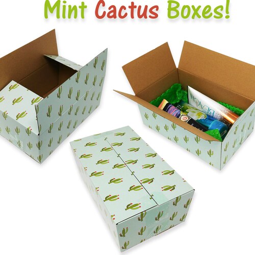 12 Pack 10x6x4 Mint Cactus Designer Boxes Recyclable - Etsy