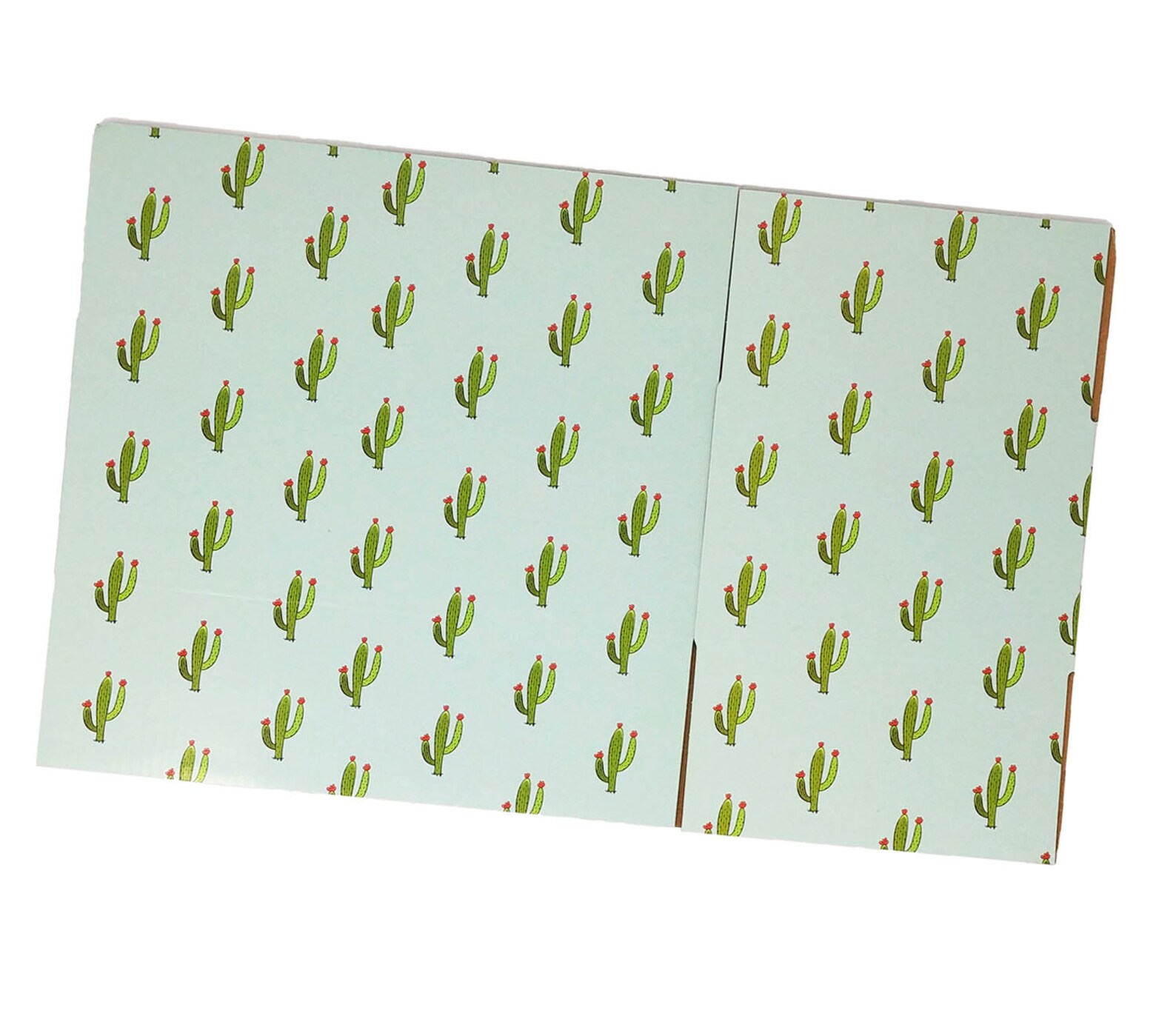 12 Pack 10x6x4 Mint Cactus Designer Boxes Recyclable - Etsy