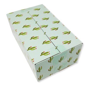 12 Pack 10x6x4" Mint Cactus Designer Boxes, Recyclable, Reusable ...