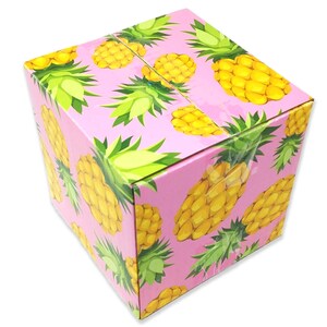 12 Pack 6x6x6" Pink Pineapple Designer Boxes, Recyclable, Reusable ...