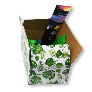 12 Pack 10x6x4" Banana Leaf, Palm Tree Designer Boxes, Recyclable ...