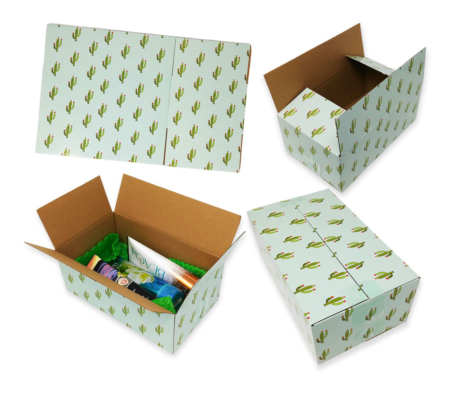 10x6x4 Mint Cactus Designer Boxes Recyclable Reusable | Etsy