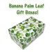 12 Pack 10x6x4 Banana Leaf Palm Tree Designer Boxes - Etsy