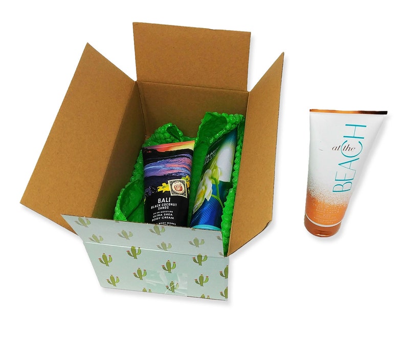 12 Pack 10x6x4 Mint Cactus Designer Boxes Recyclable - Etsy