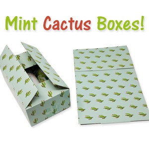 12 Pack 10x6x4" Mint Cactus Designer Boxes, Recyclable, Reusable ...