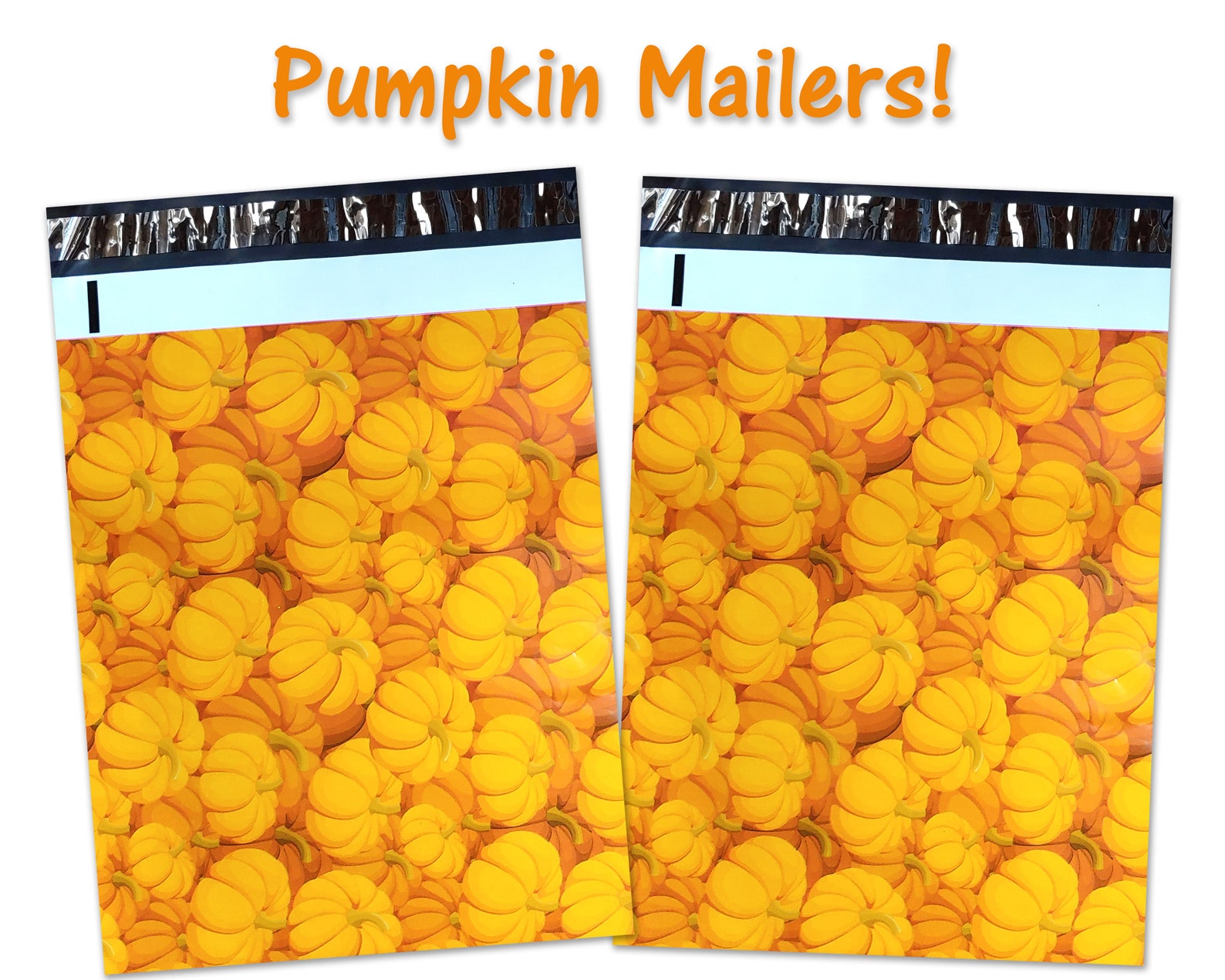 Fall Winter Collection Theme Poly Mailers 10x13 Combo | Etsy