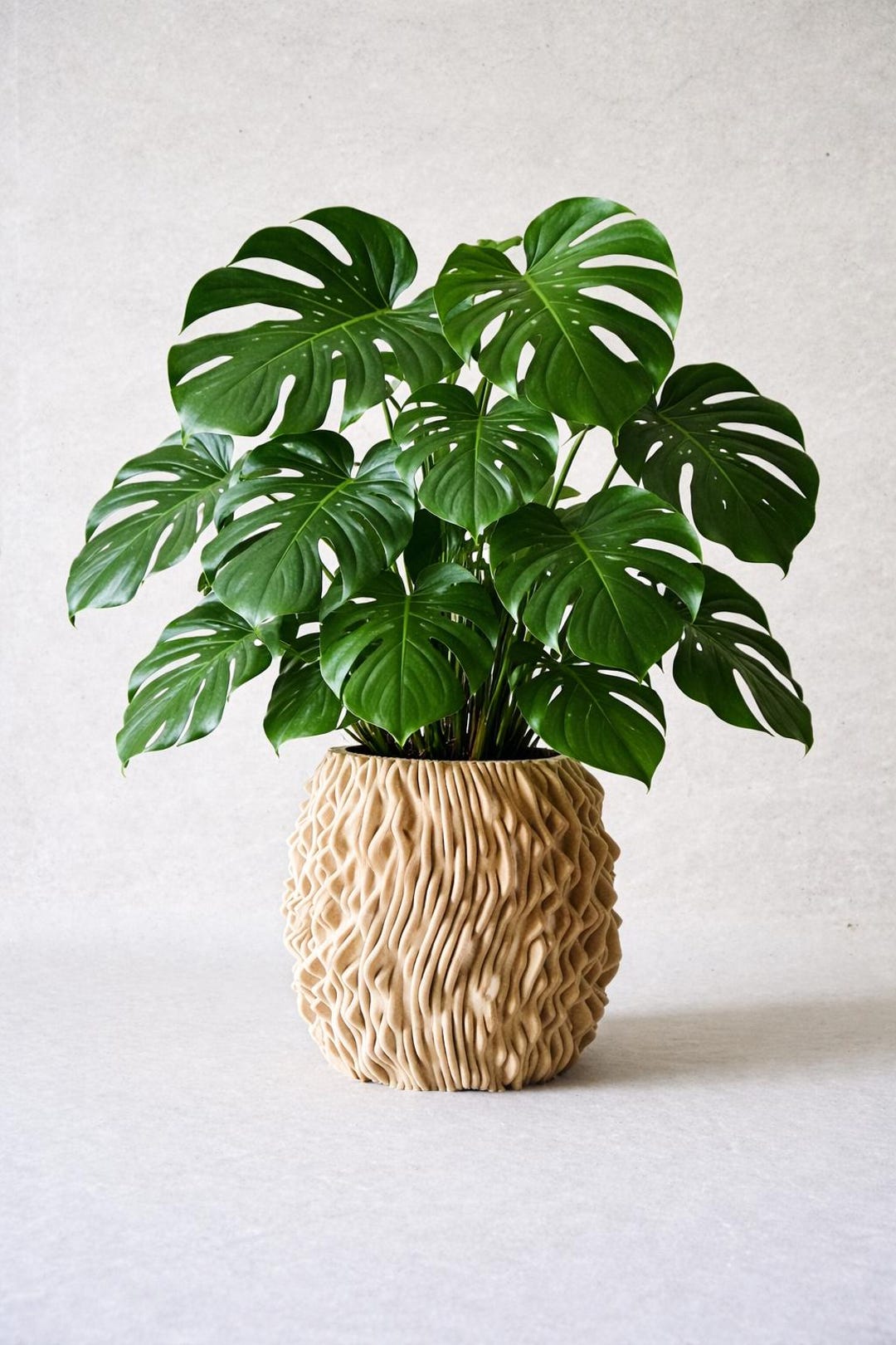 Spiral Fluted Planter, 3D Printed, Eco-friendly, Modern Flowing Design ...