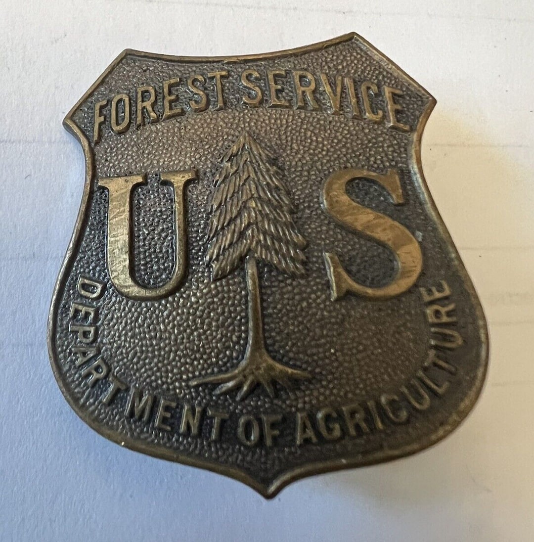 US Forest Service Ranger Badge Brass Vintage Early to Mid 1900's No Pin ...