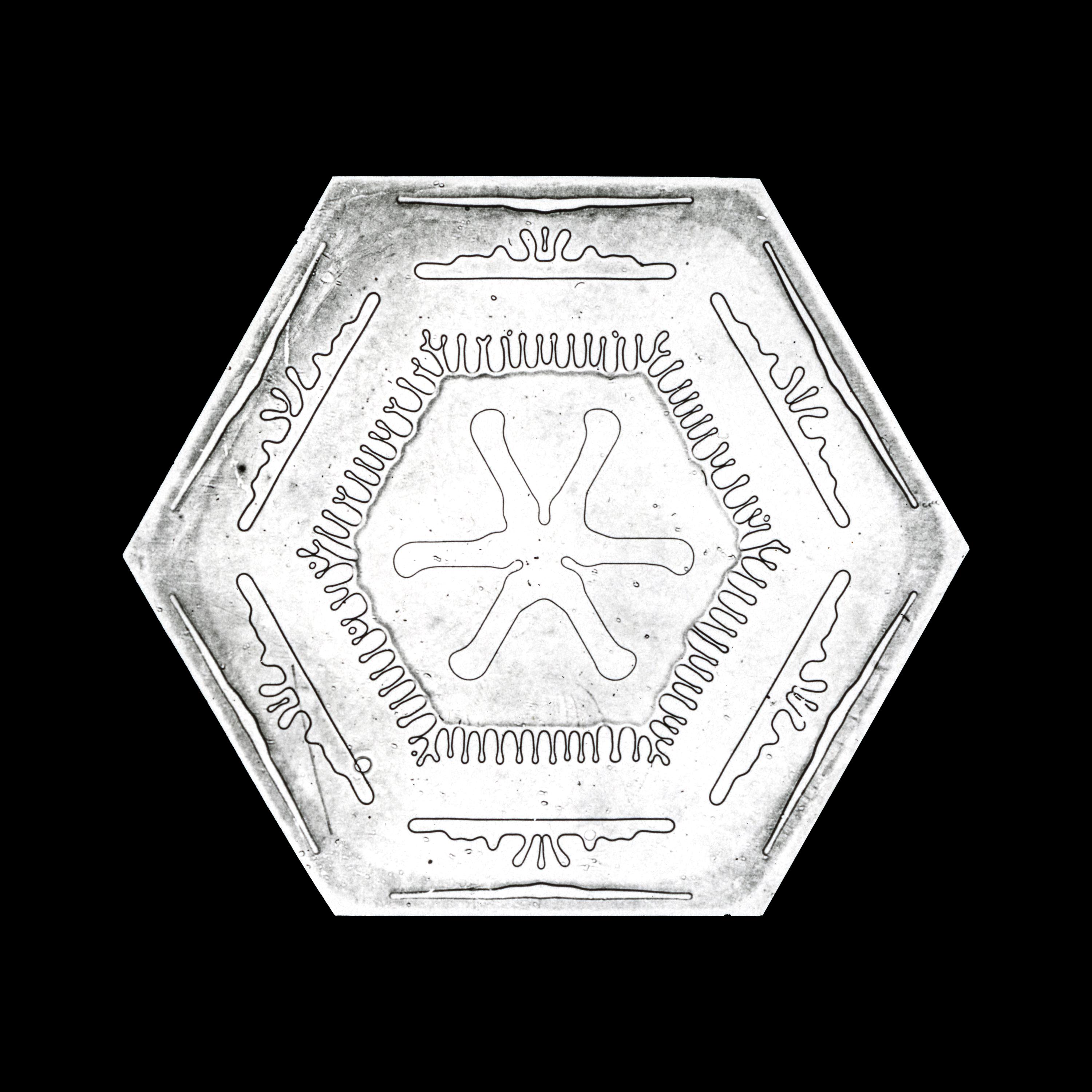 Wilson Bentley Snowflake Art Print – Vintage Winter Decor - Etsy