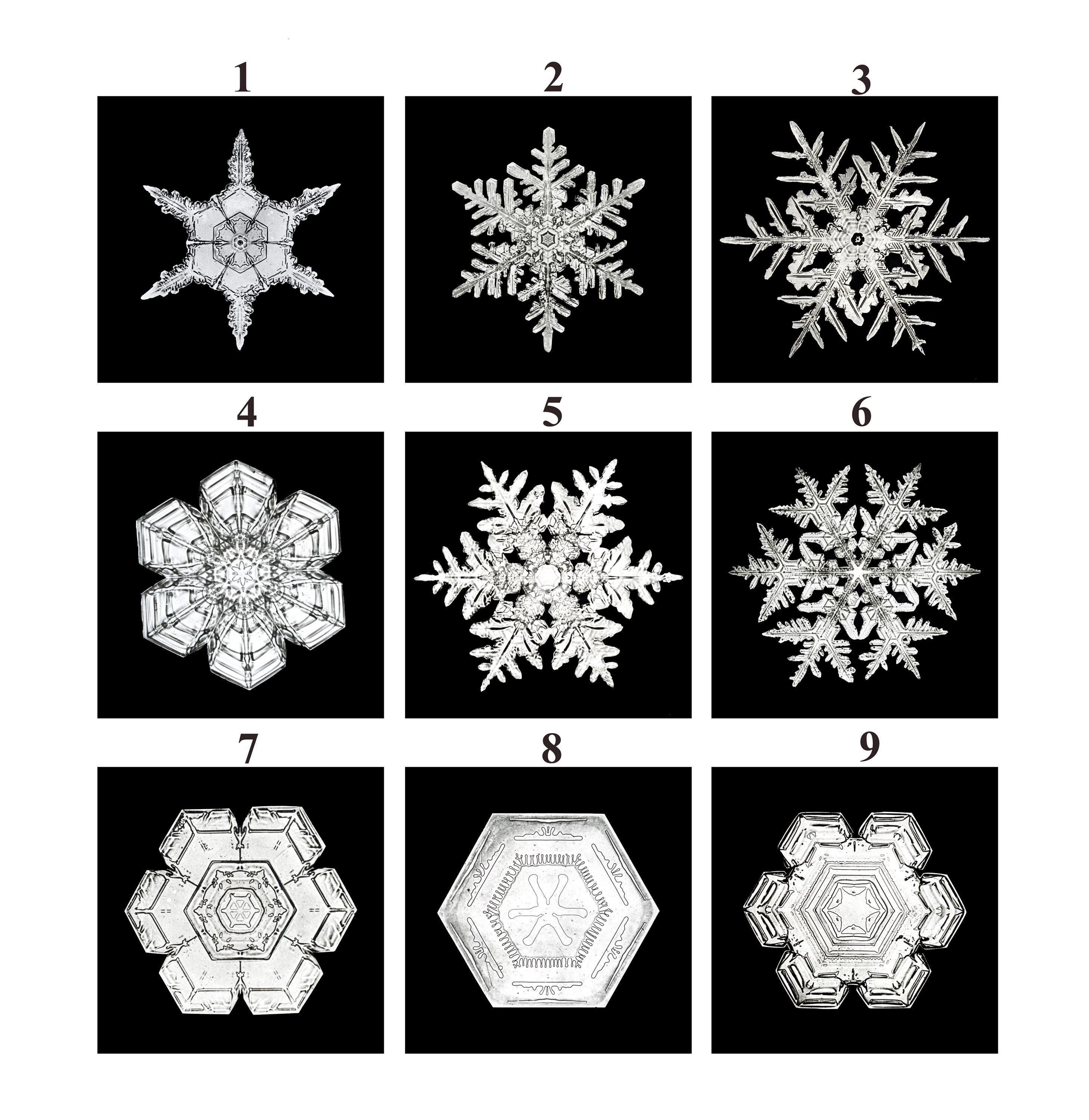 Wilson Bentley Snowflake Art Print – Vintage Winter Decor - Etsy