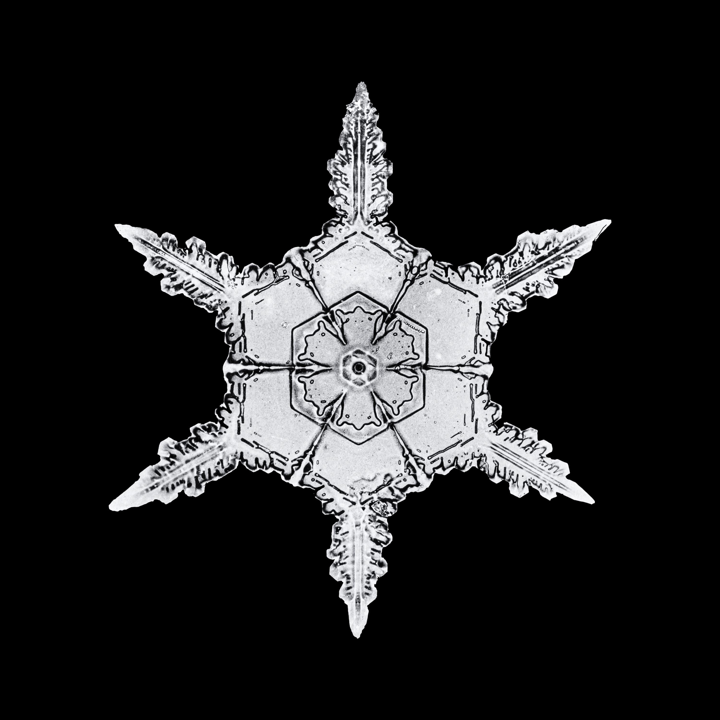Wilson Bentley Snowflake Art Print – Vintage Winter Decor - Etsy