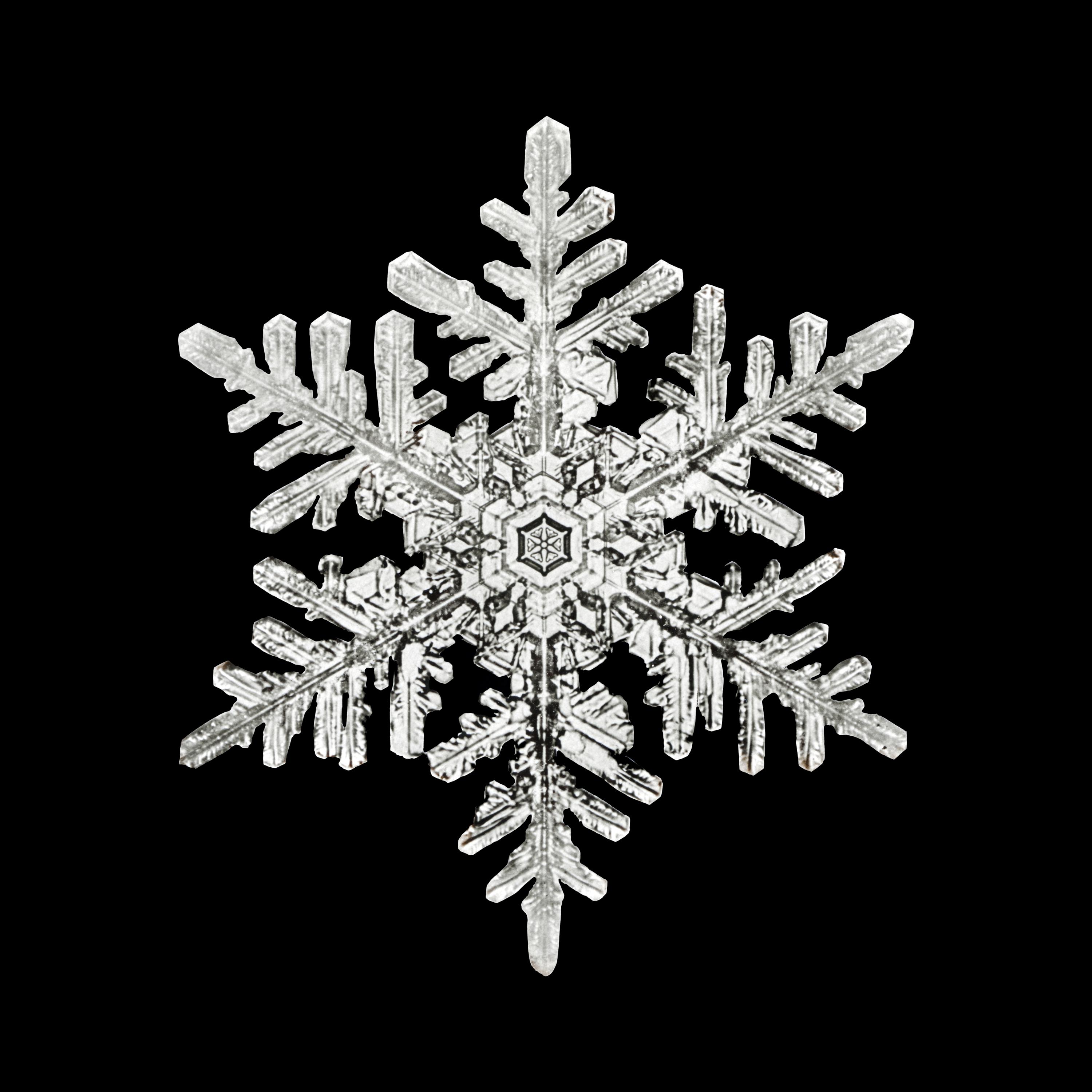 Wilson Bentley Snowflake Art Print – Vintage Winter Decor - Etsy