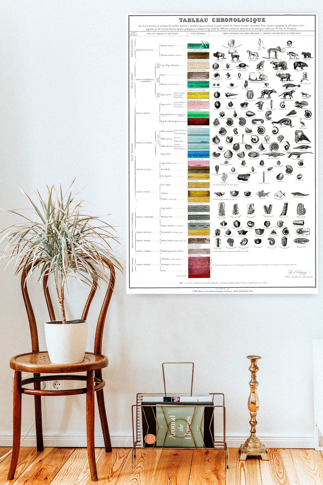 Chronological Table on the Earth's Crust and the Various - Etsy