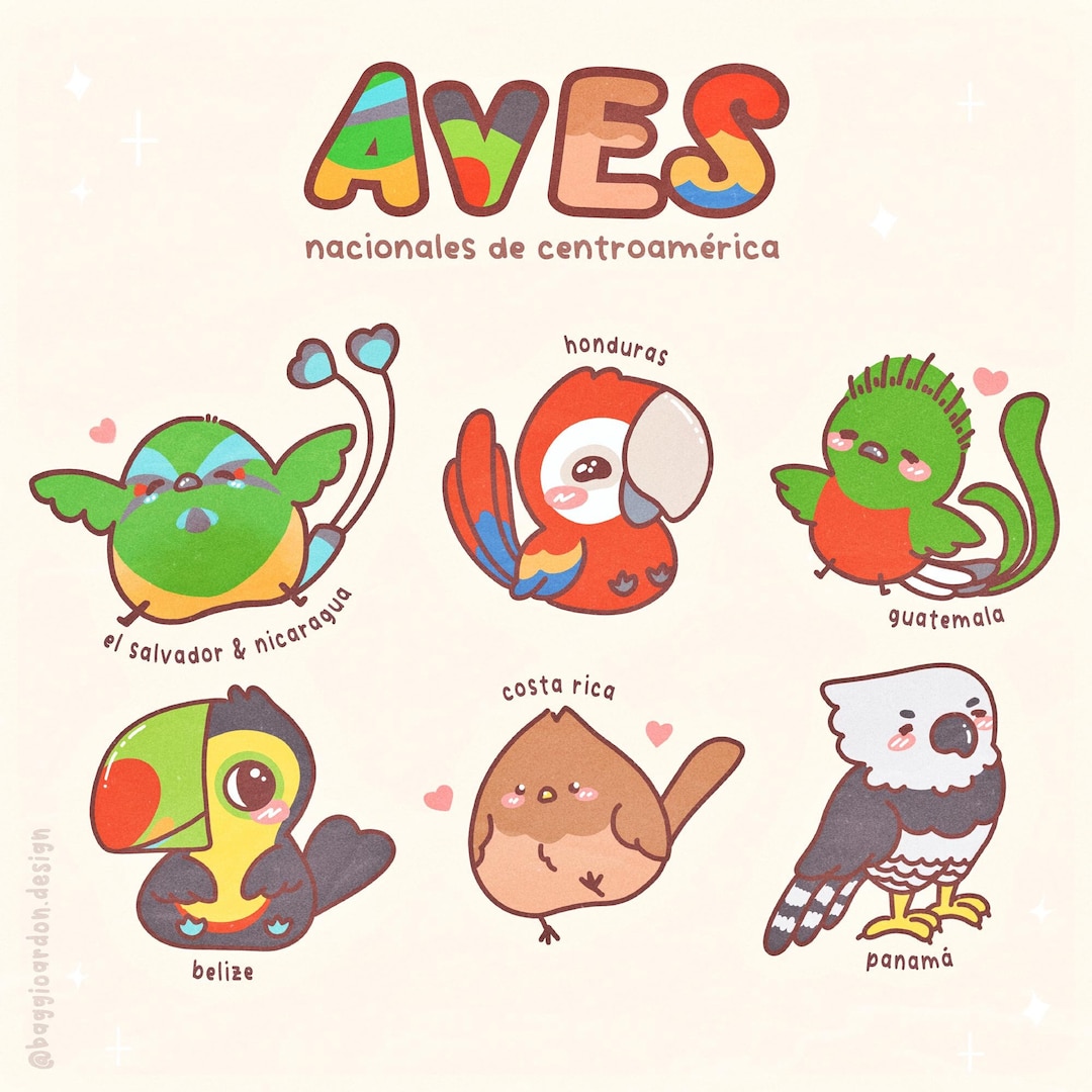 National Birds of Central America – Aves Nacionales De Centroamérica ...