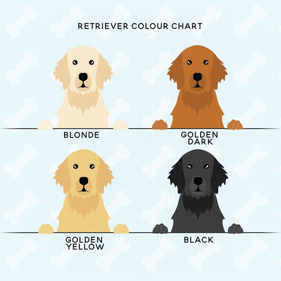 Golden Retriever Color Range