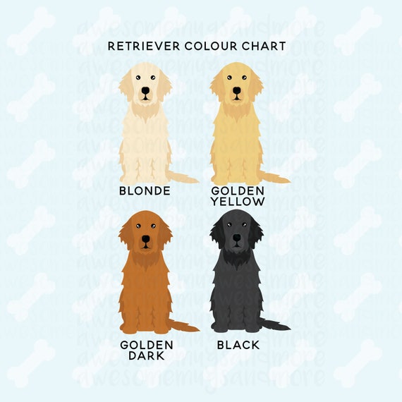 Golden Retriever Color Range