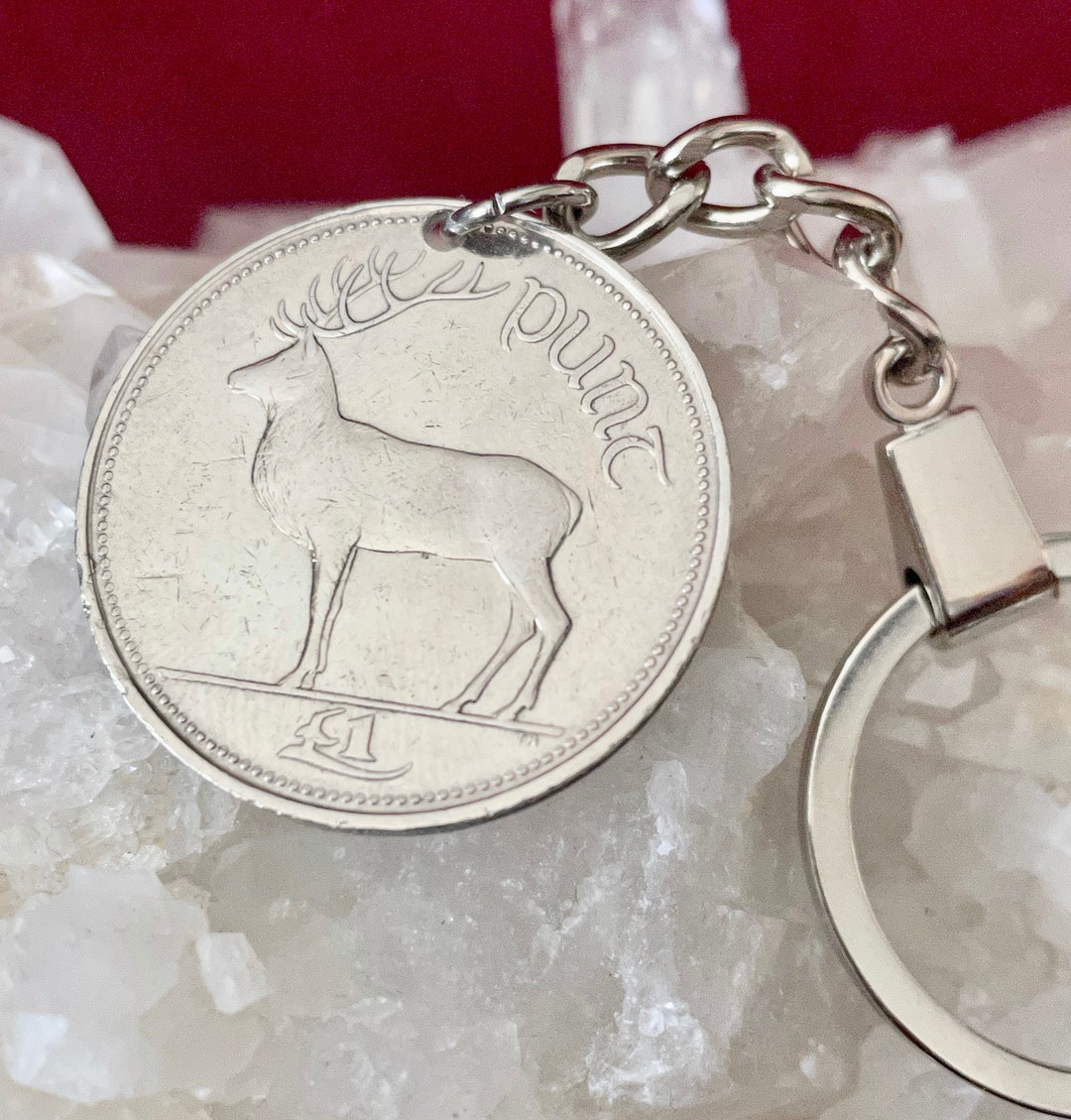 Ireland Stag Keyring Genuine 1 Pound 1990, 1994, 1995, 1996, 1998, 1999 ...