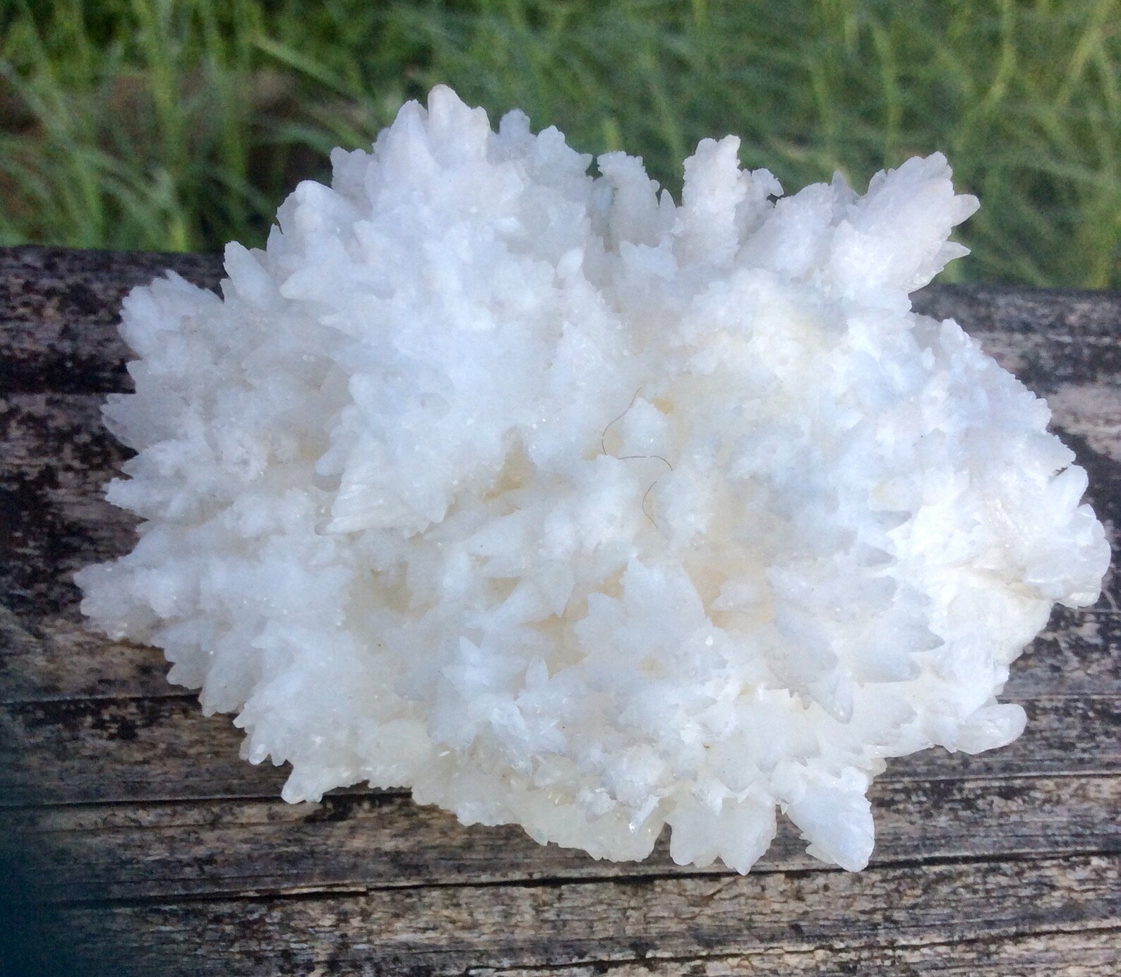 White aragonite crystal cluster beautiful natural Mexico | Etsy