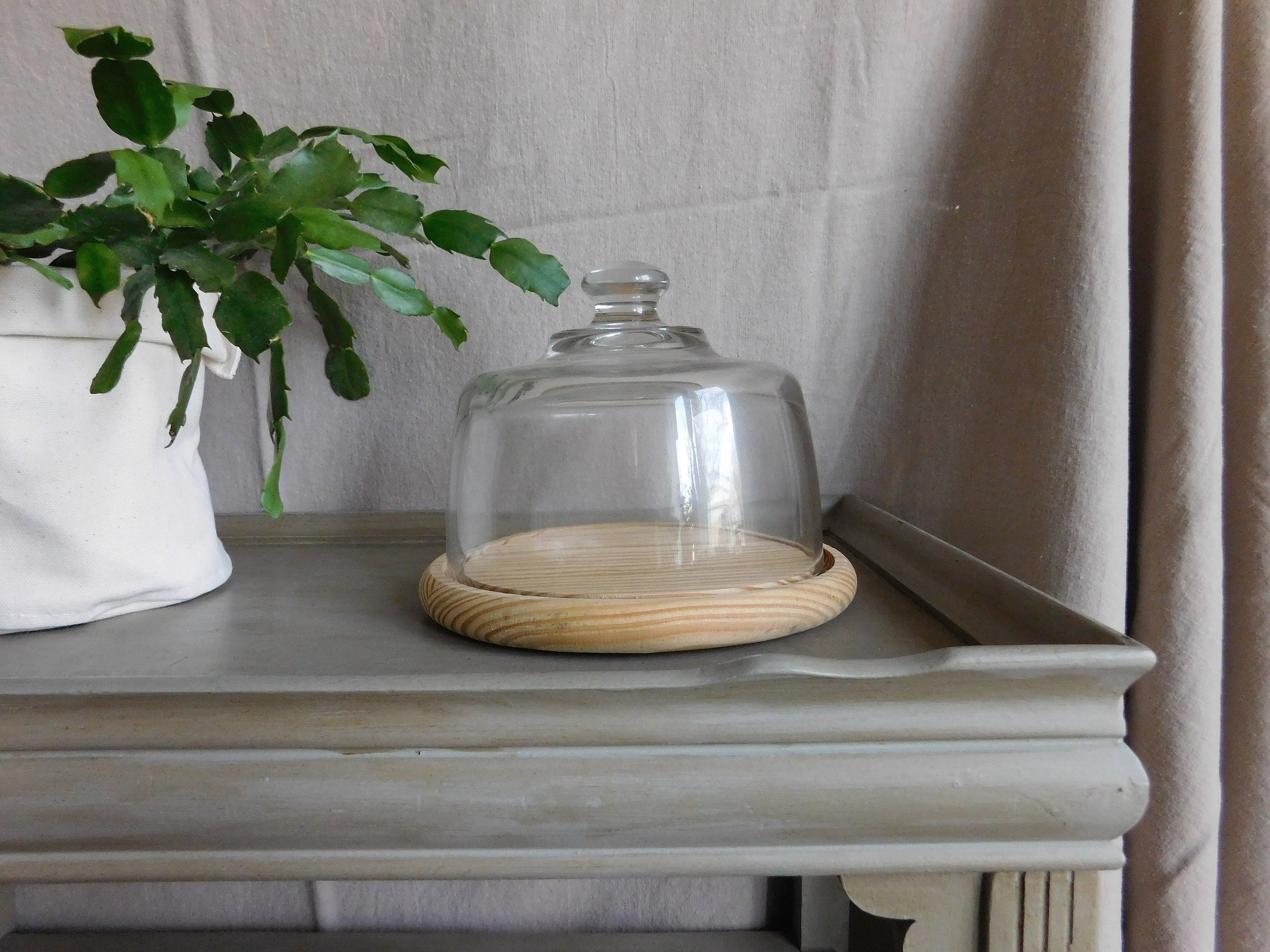 Glass Cloche and Wood Base Set - Etsy