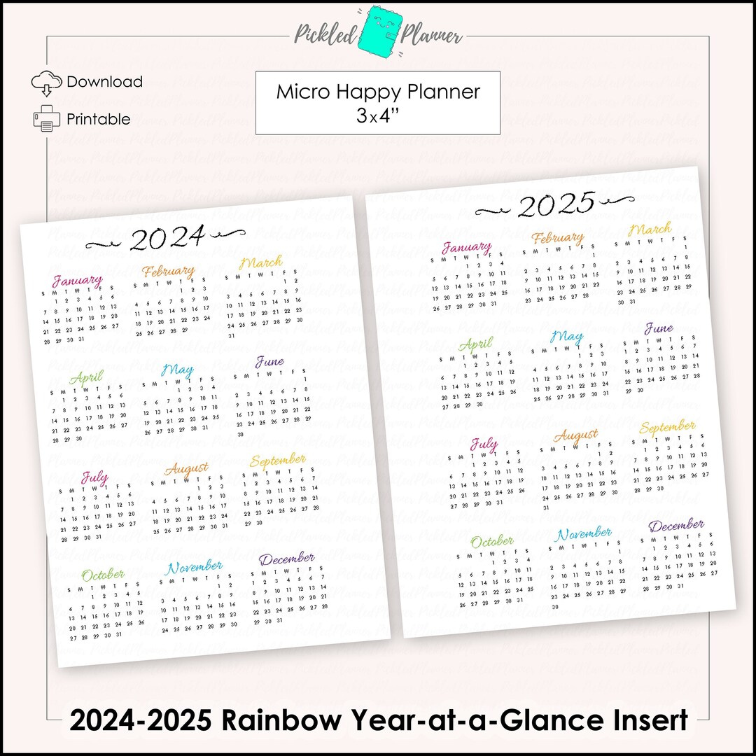 Micro Bright Rainbow 2024-2025 Dated Year-at-a-glance Month Planner ...