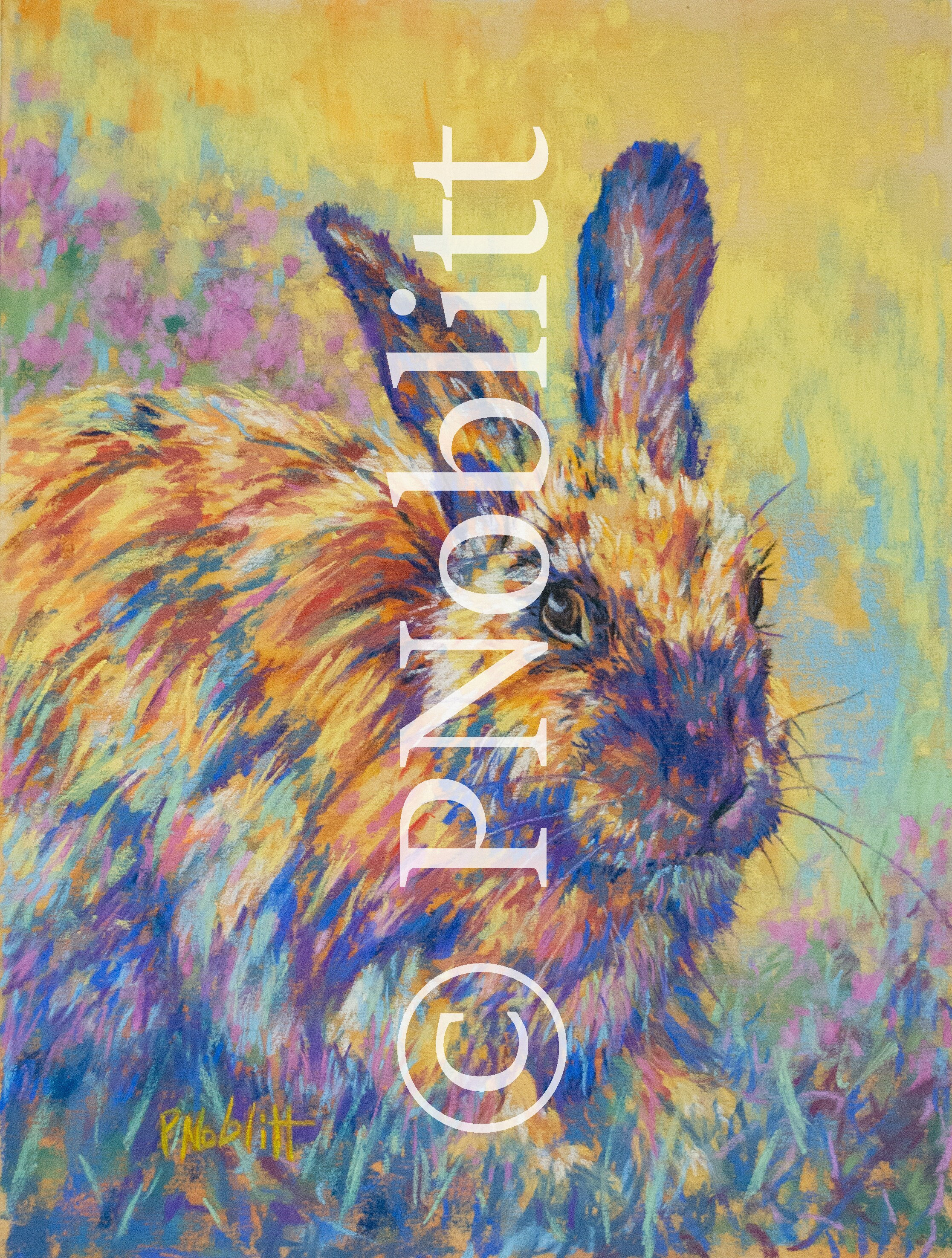 Bun Bun Sun Original Pastel Rabbit Painting: 9x12 Animal Art - Etsy
