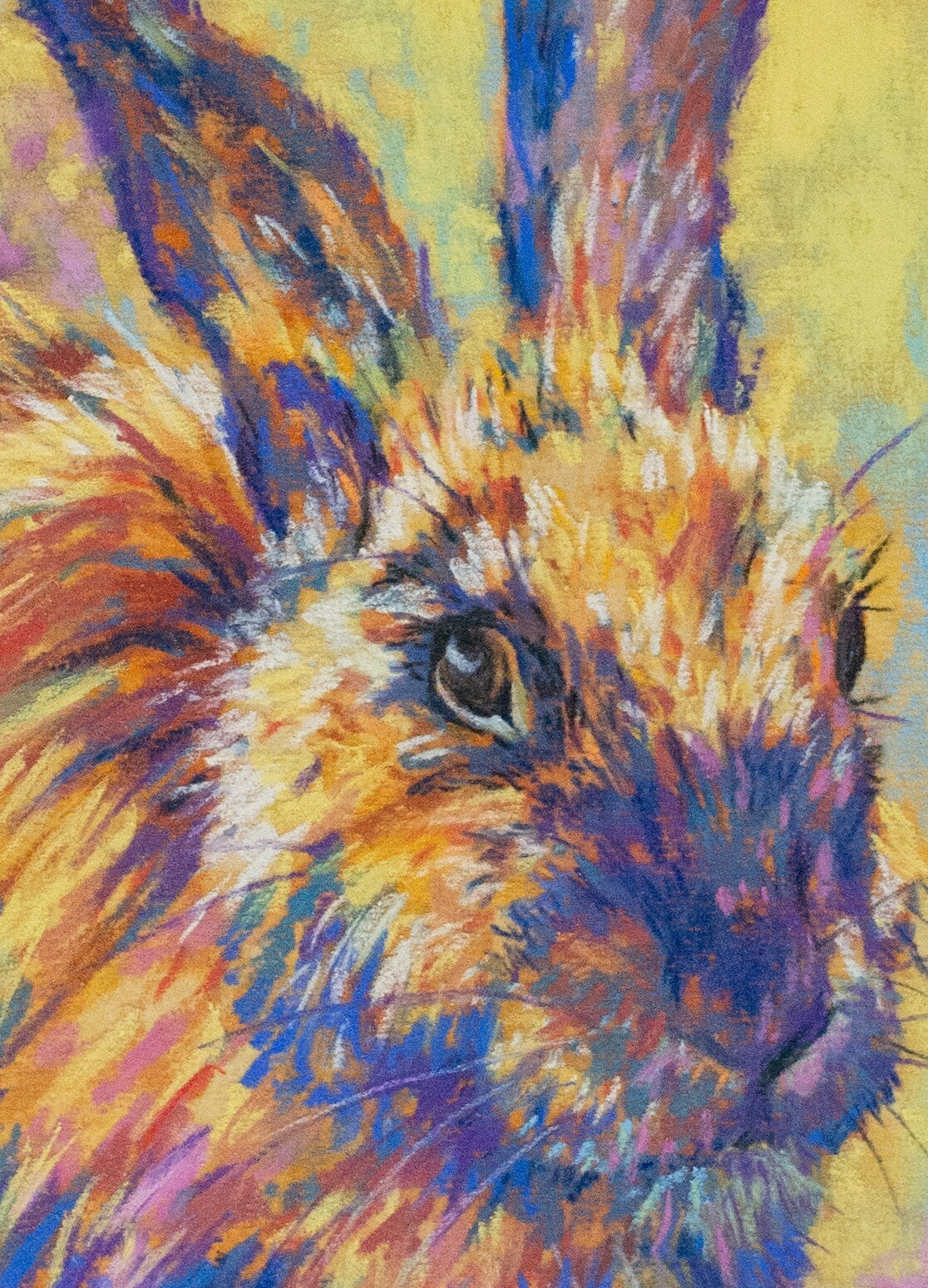 Bun Bun Sun - Etsy