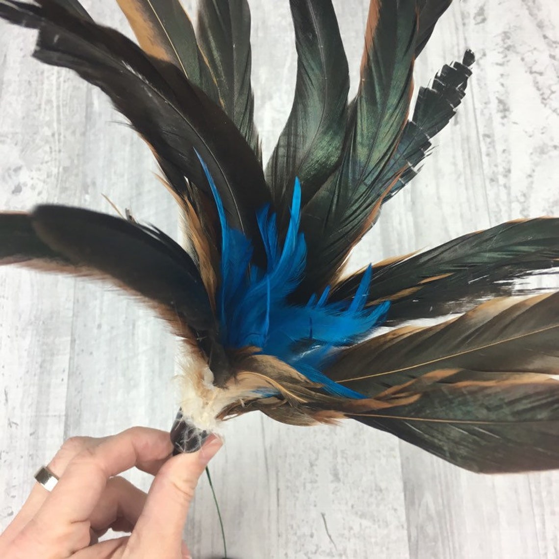 Cat Toy XL Feather Jet Cat Toy Bird Cat Toy Feathers on - Etsy