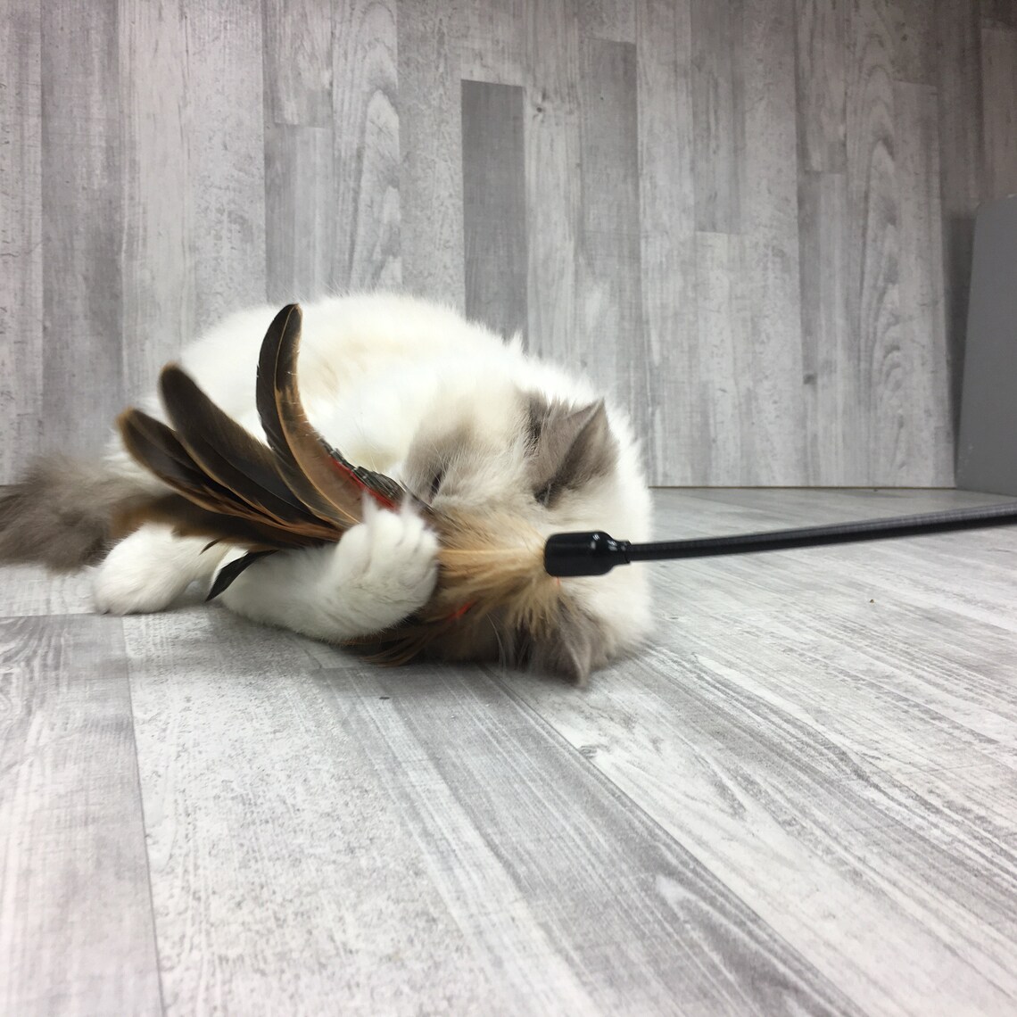 Cat Toy Mega Feathers Duster Cat Teaser Toy Interactive | Etsy