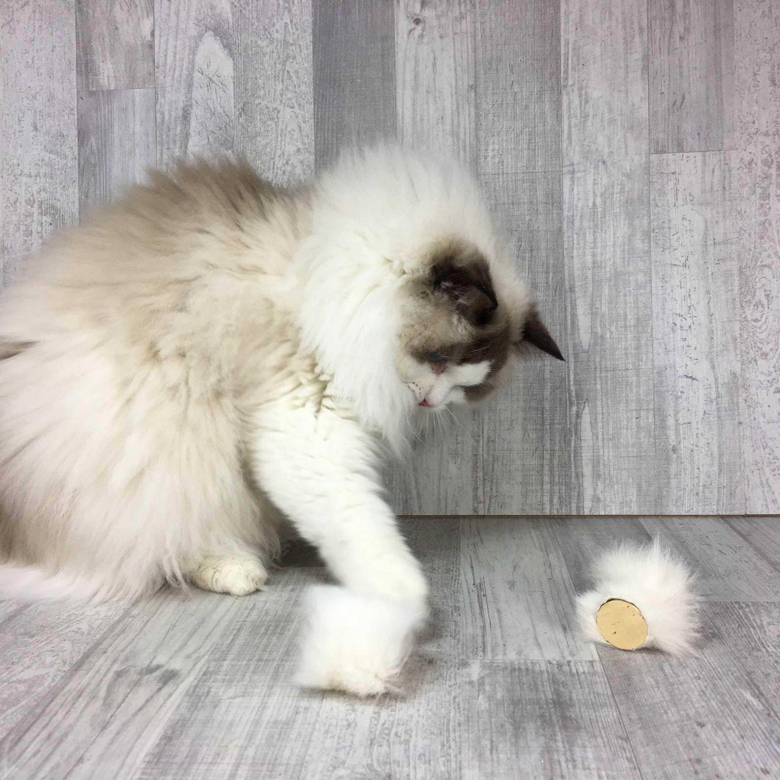 Cat Toy 3 Pieces of Rabbit Skin Corks Cork & Rabbit Fur - Etsy