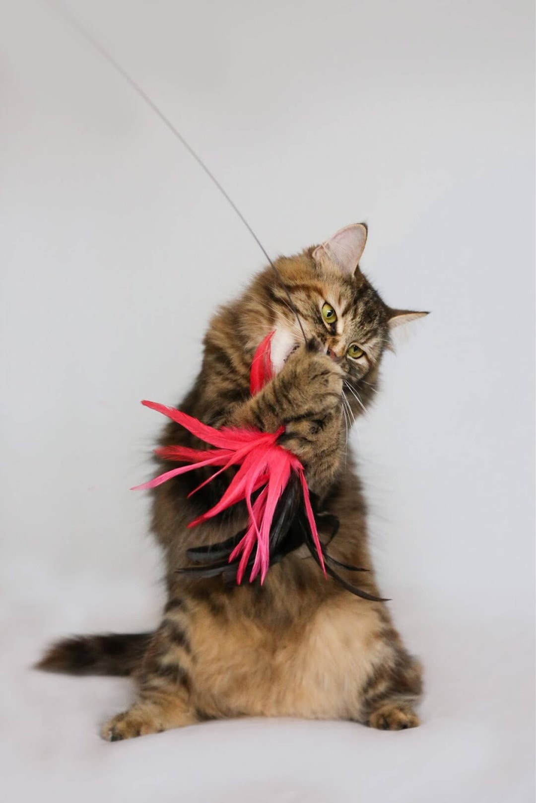 Cat Toy | XL Feather Crown -pink | Long Cat Toy | Interactive Cat Toy ...
