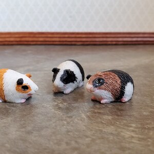 Dollhouse Miniature Guinea Pigs Set of 3 1:12 Scale Pet Black - Etsy