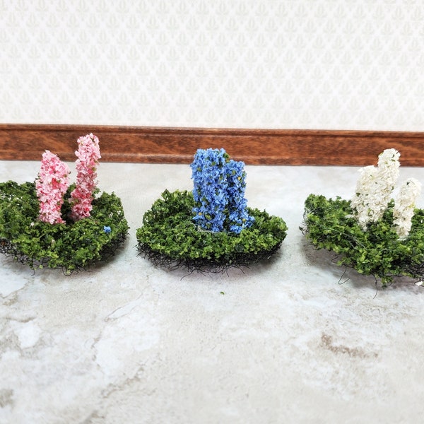 Miniature Hollyhock - Etsy