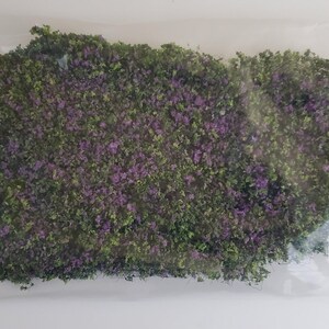 Flowering Shrub Mat Phlox Plants Purple Model RR Dioramas Dollhouses ...