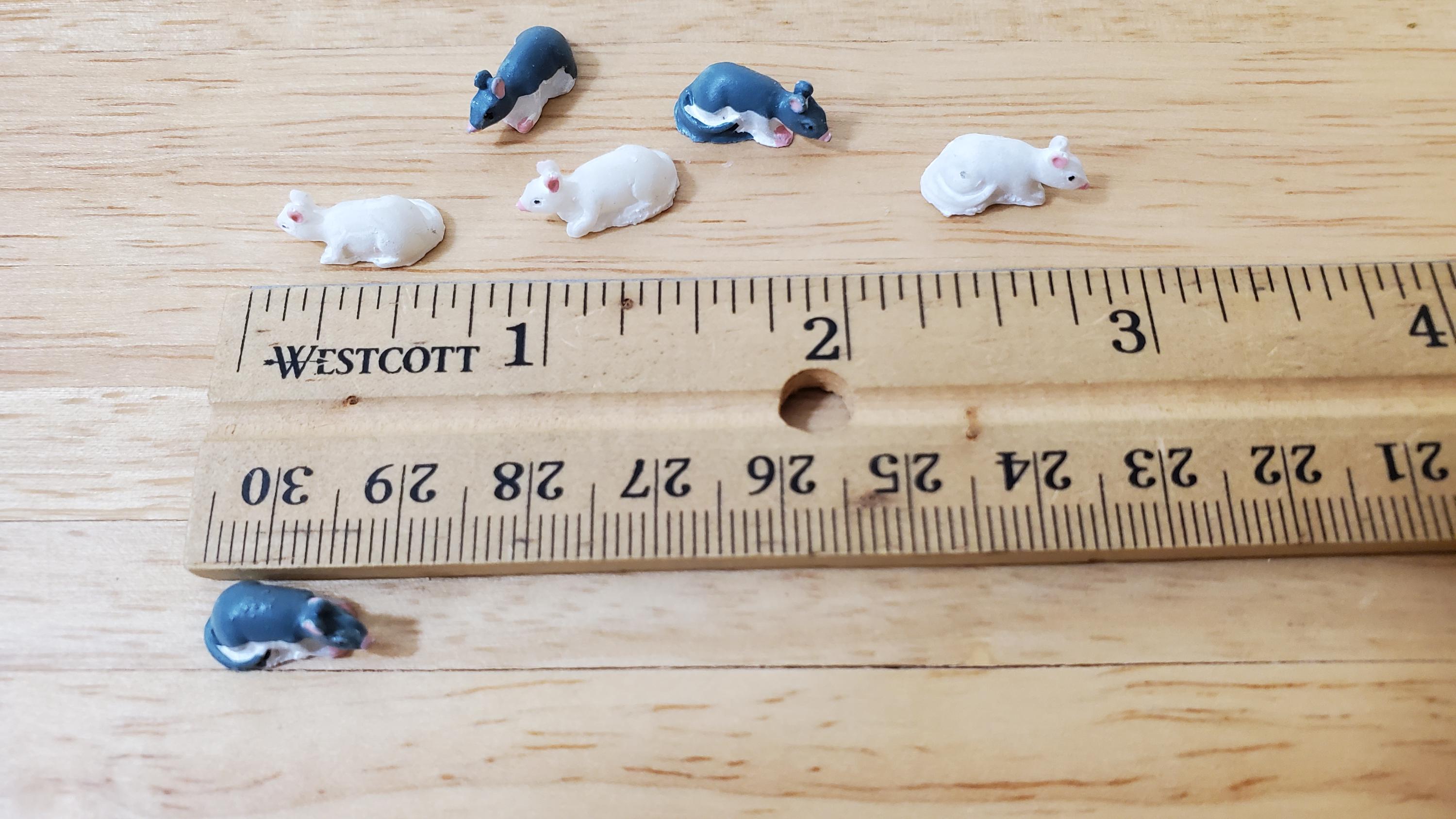 6 Tiny Mice Rats for Dollhouses White & Gray 1:12 Scale Miniatures - Etsy