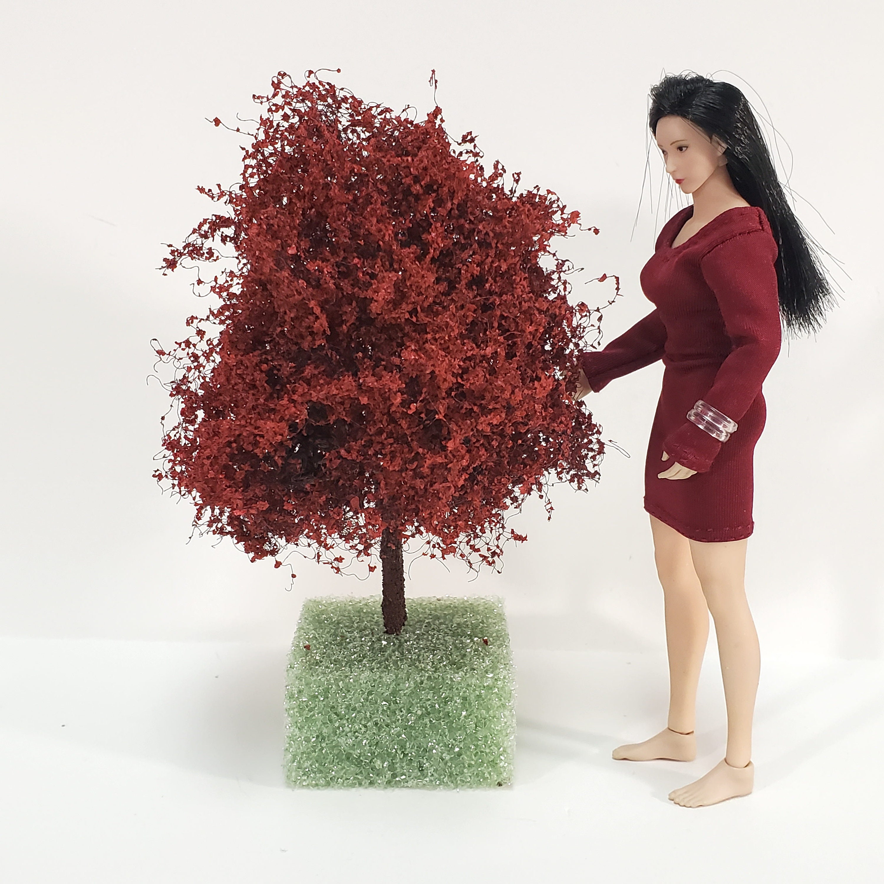 Miniature Tree or Bush Red Japanese Maple 4 Tall on a - Etsy