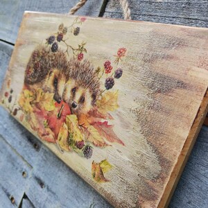 Hedgehog Decor, Wild Animal, Hedgehog Gift, Decoupage Hedgehog, Animal ...