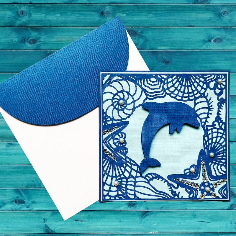 Dolphin Greeting Cards - Etsy