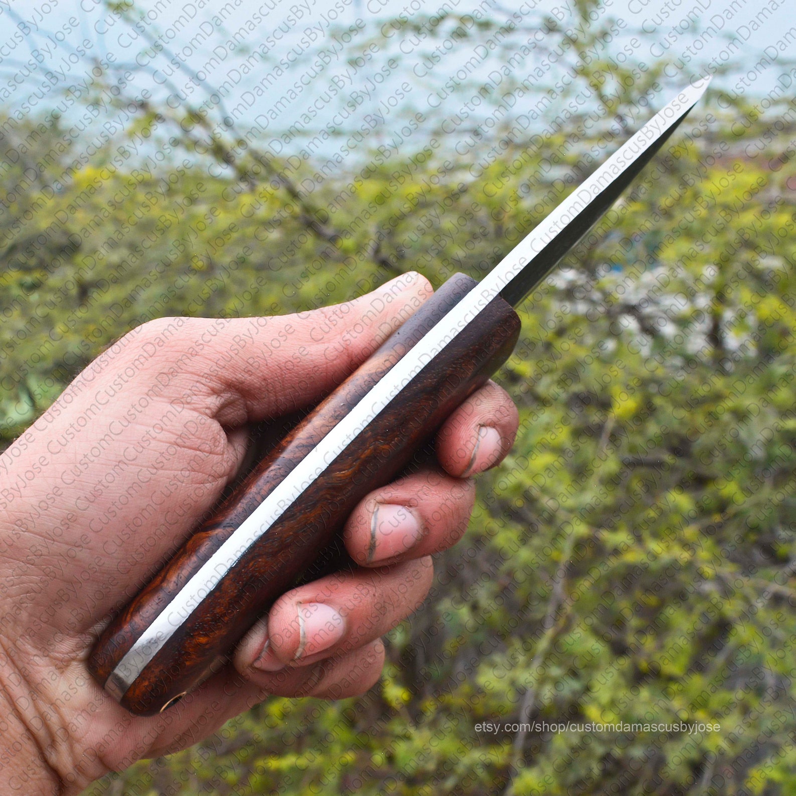 Hand Forge Bushcraft Knife With Sheath Rosewood Fixed Blade - Etsy