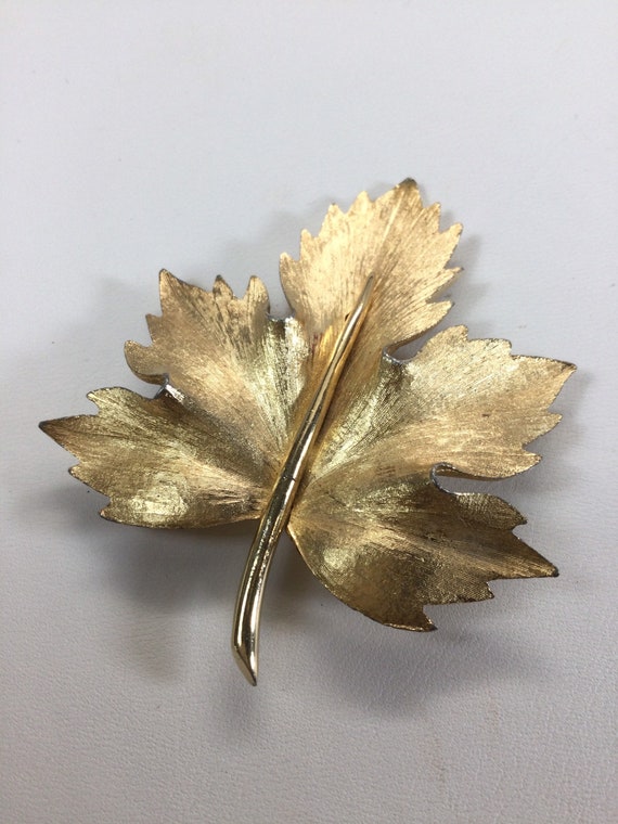 boucher golden maple - Gem