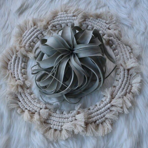 Modern Macrame - Etsy