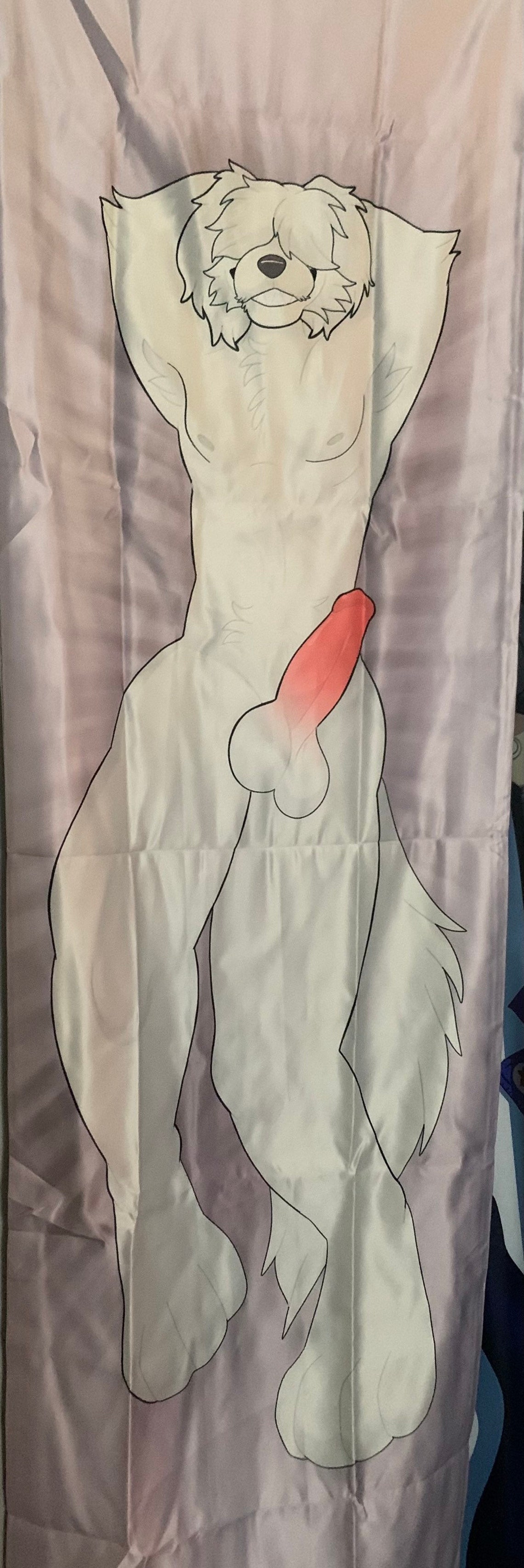 Beastars Collot Dakimakura MADE TO ORDER - Etsy