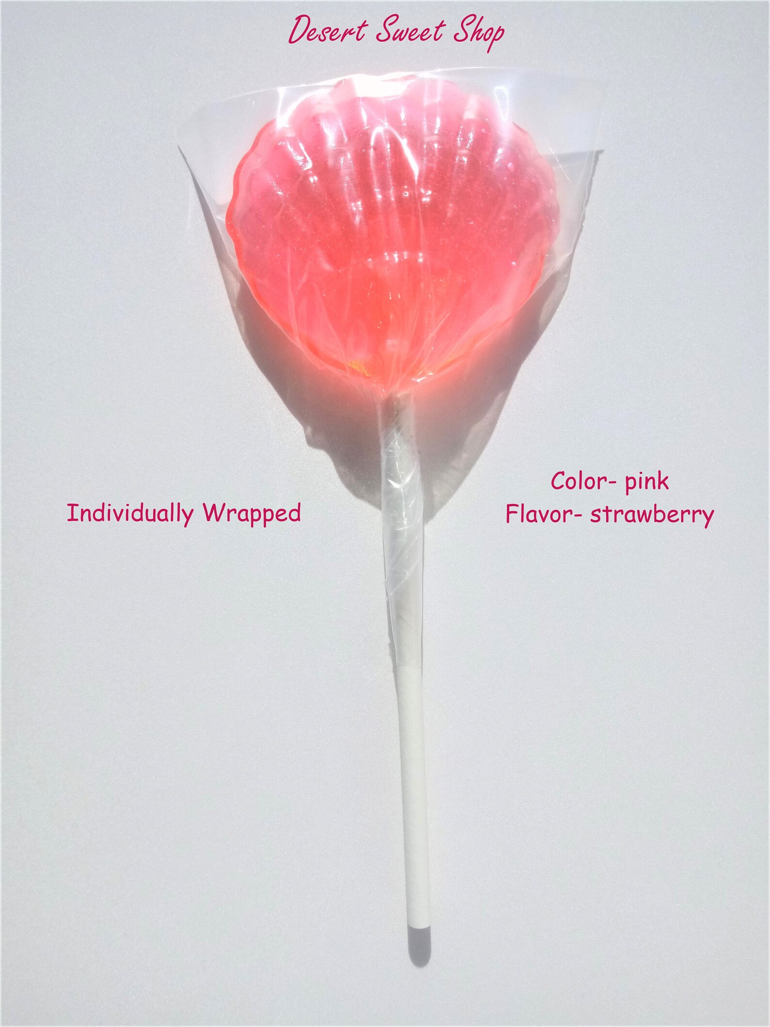 CLAMSHELL LOLLIPOPS Clamshell Party Favors Clam Shell - Etsy