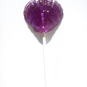 CLAMSHELL LOLLIPOPS, Clamshell Party Favors, Clam Shell, Mermaid ...
