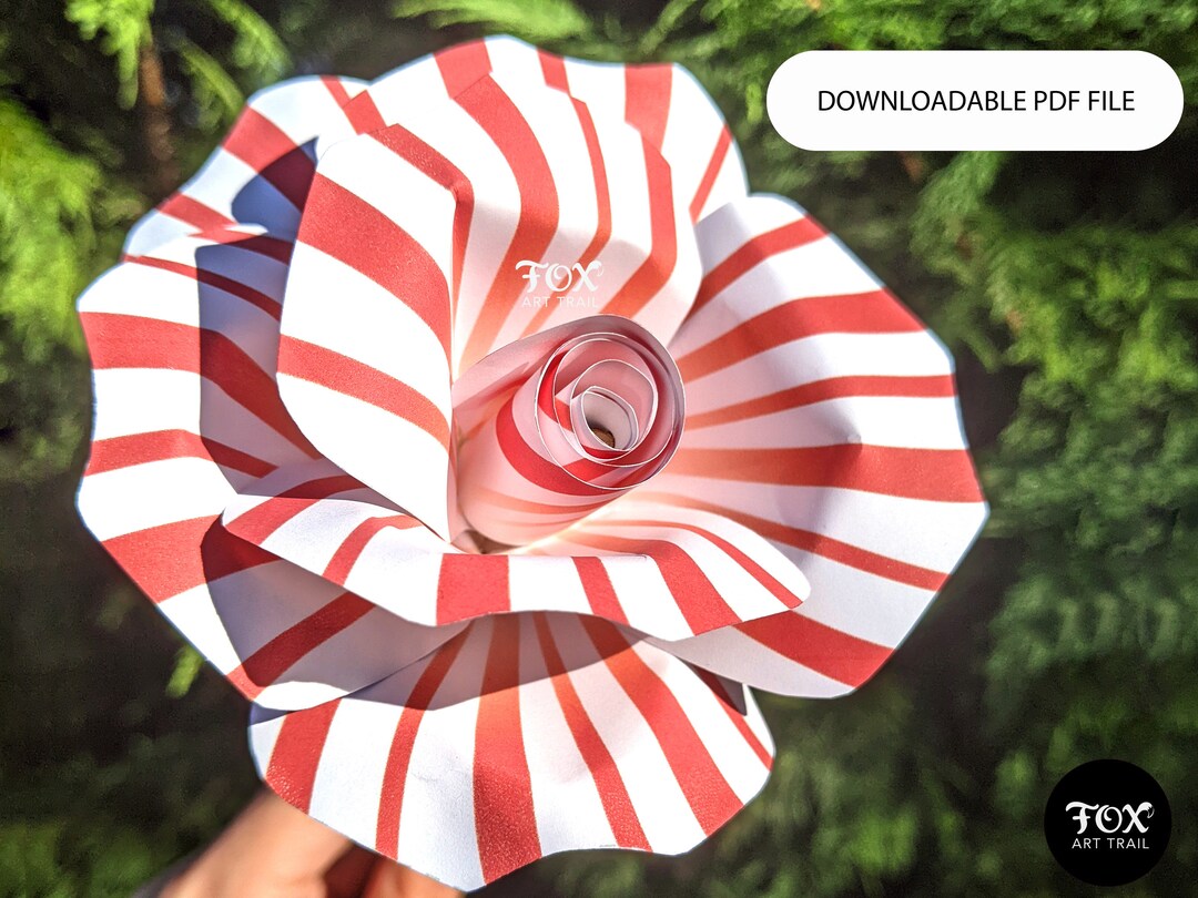 Peppermint Paper Rose Template DIY Holiday Decor DIY - Etsy