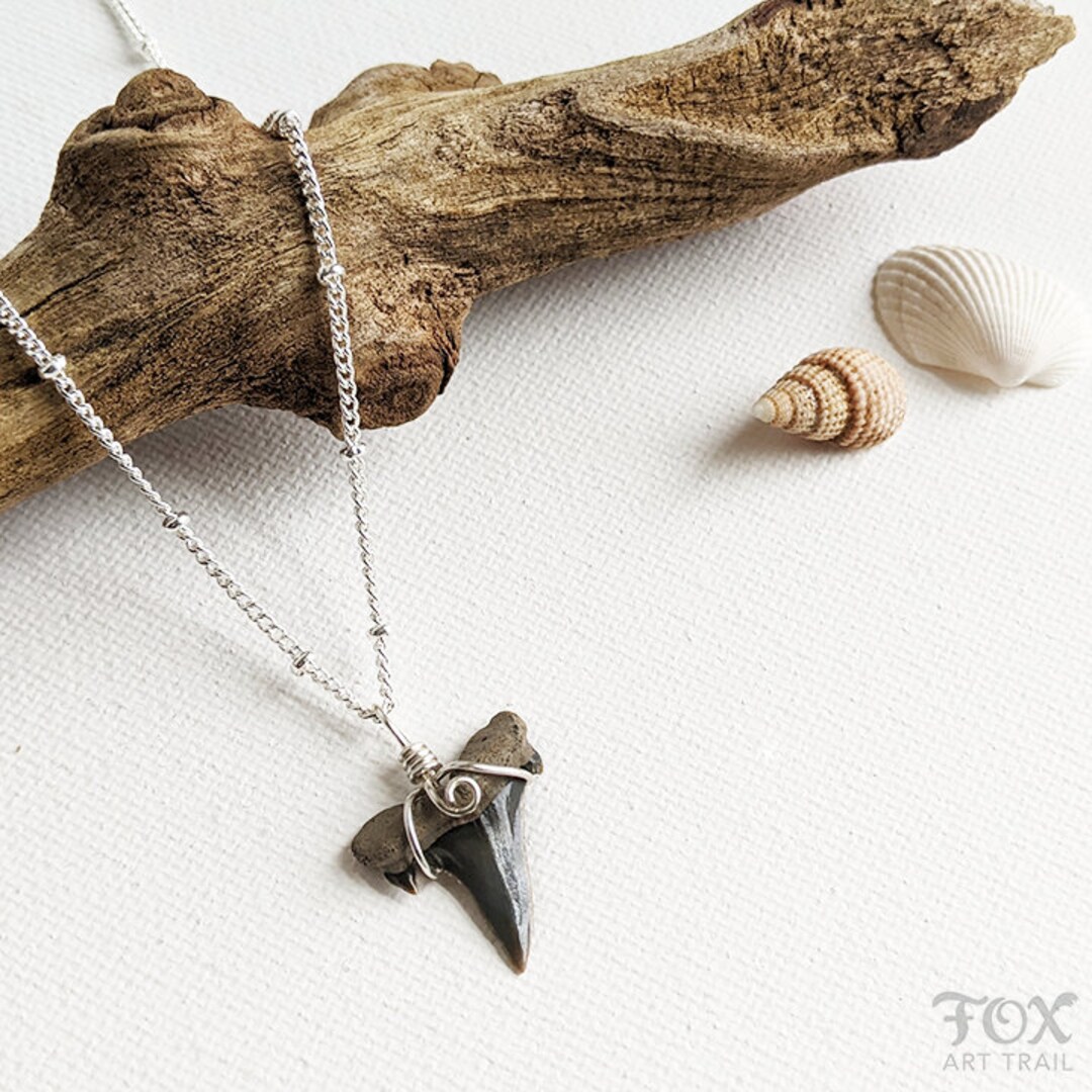 Real Fossilized Shark Tooth Necklace: Silver Plated Chain, Beach ...