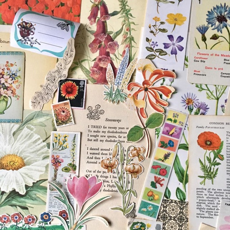 Flower Themed Ephemera | Vintage Scrapbooking Kit | Botanical Wild ...