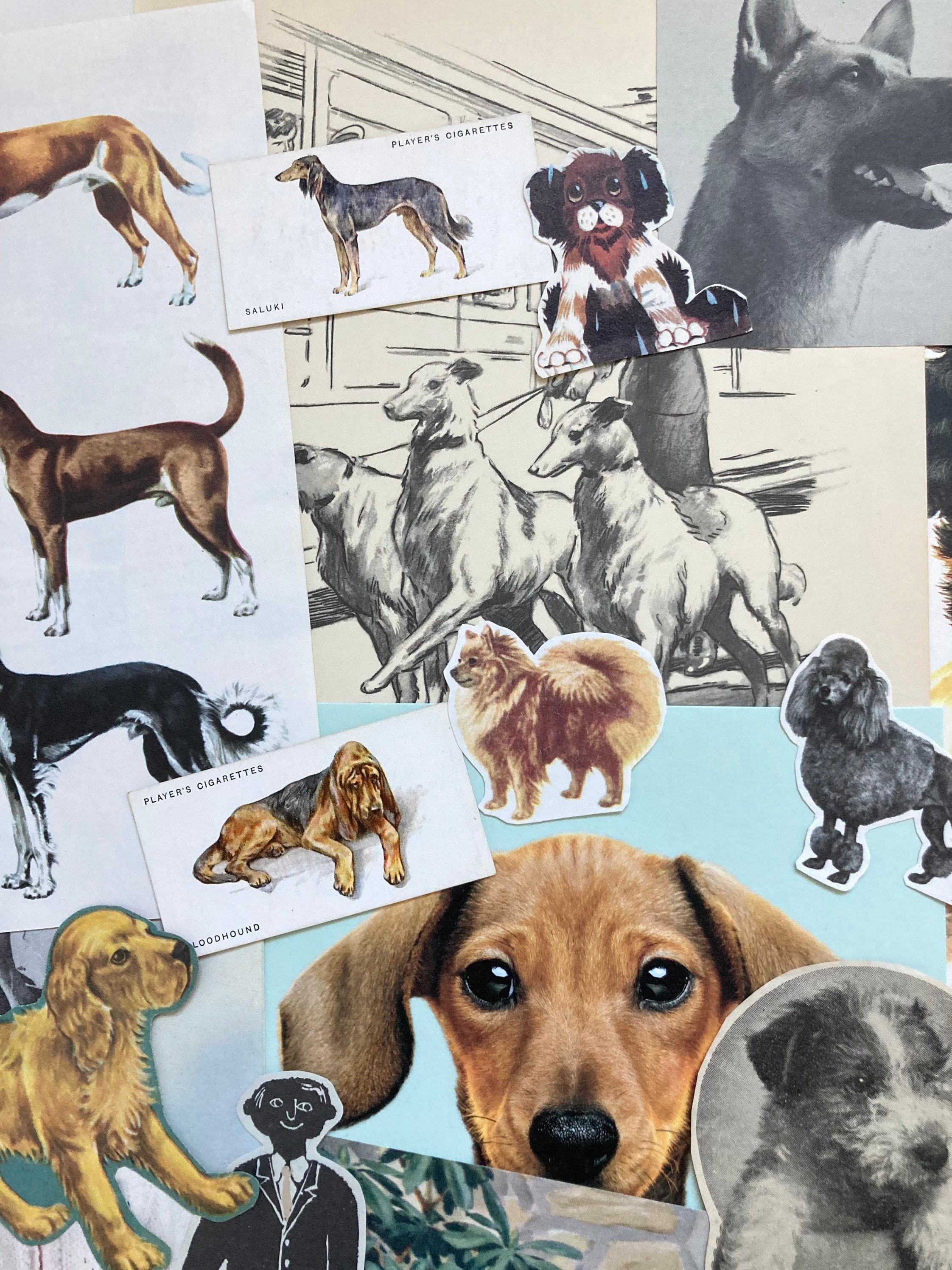 Dog & Puppy Themed Ephemera | Paper Craft Pack | Scrapbook Supplies ...