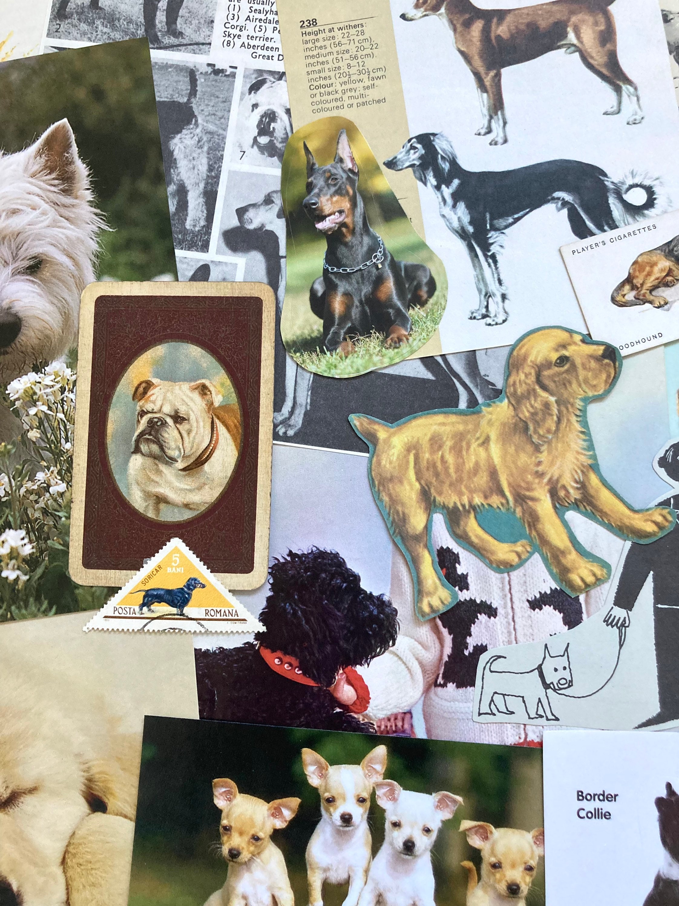 Dog & Puppy Themed Ephemera | Paper Craft Pack | Scrapbook Supplies ...