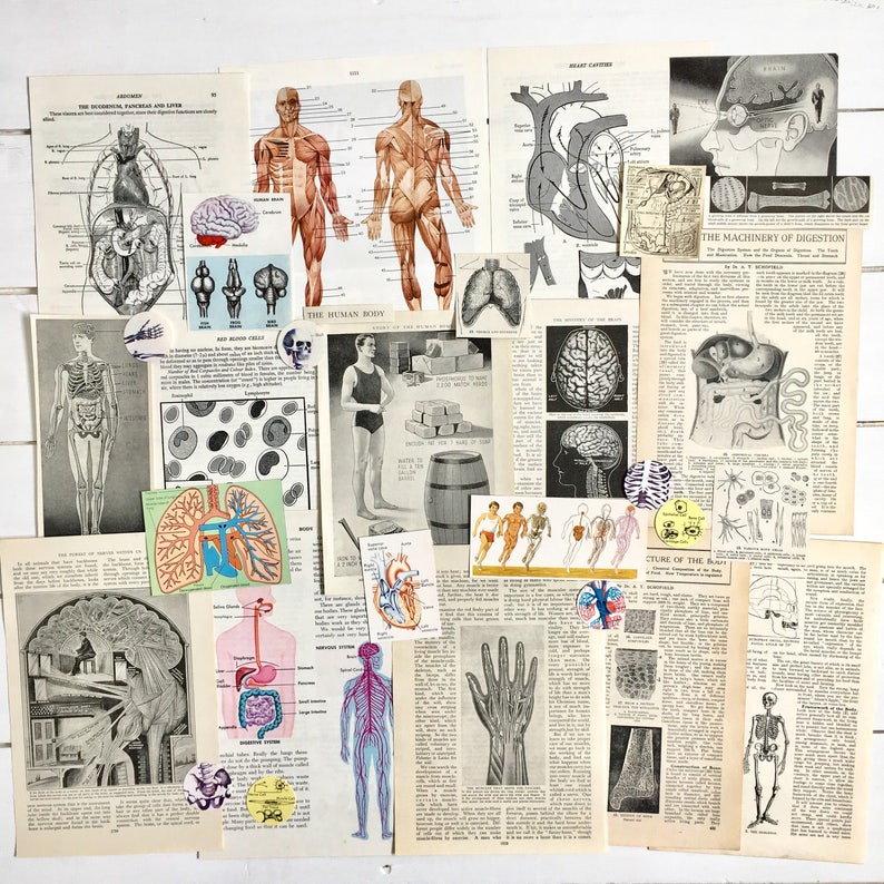 Body and Anatomy Ephemera Vintage Paper Pack Scrapbooking Kit Junk ...